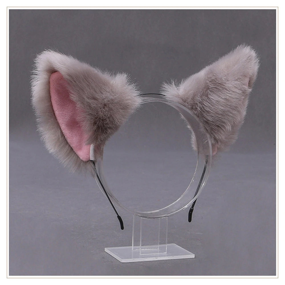 OREILLES DE LOUP GRISES ÉLÉGANTES & Terre des Loups