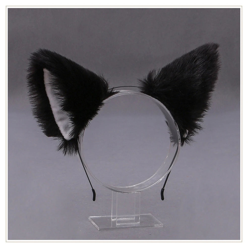 OREILLES DE LOUP NOIRES INTENSES & Terre des Loups